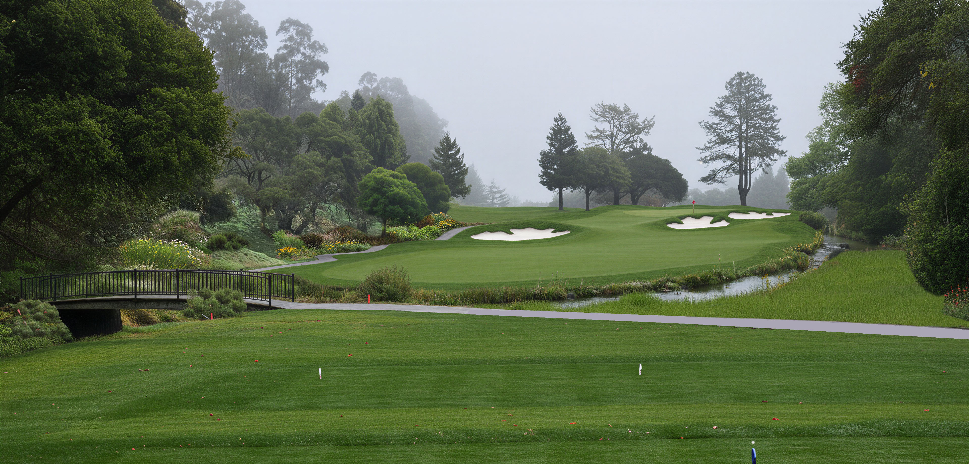 use the provided exactly as it is without adding removing altering ...